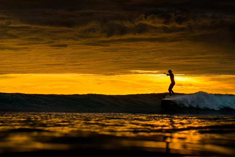 Something pointless and elegant - photos | Swellnet Dispatch | Swellnet