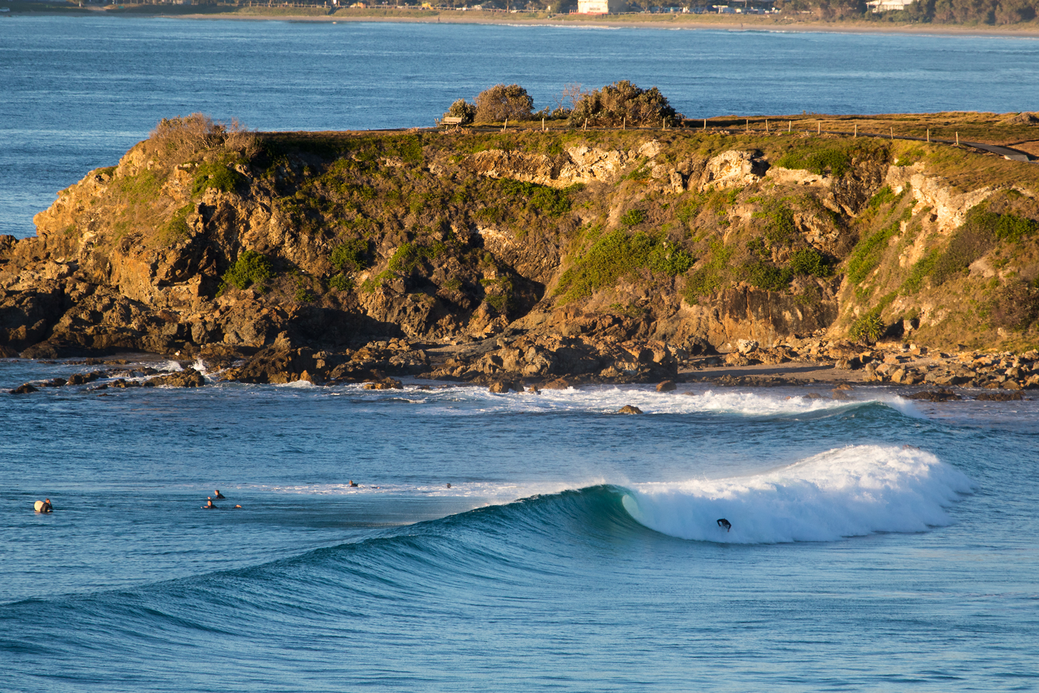 The annual roadtrip to Splendour | Swellnet Dispatch | Swellnet