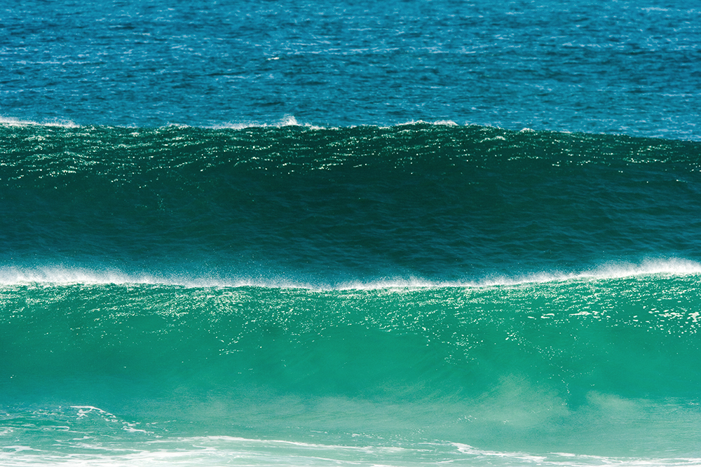 One Wave | Surfpolitik | Swellnet