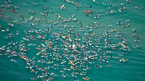 The Crowd | Surfpolitik | Swellnet