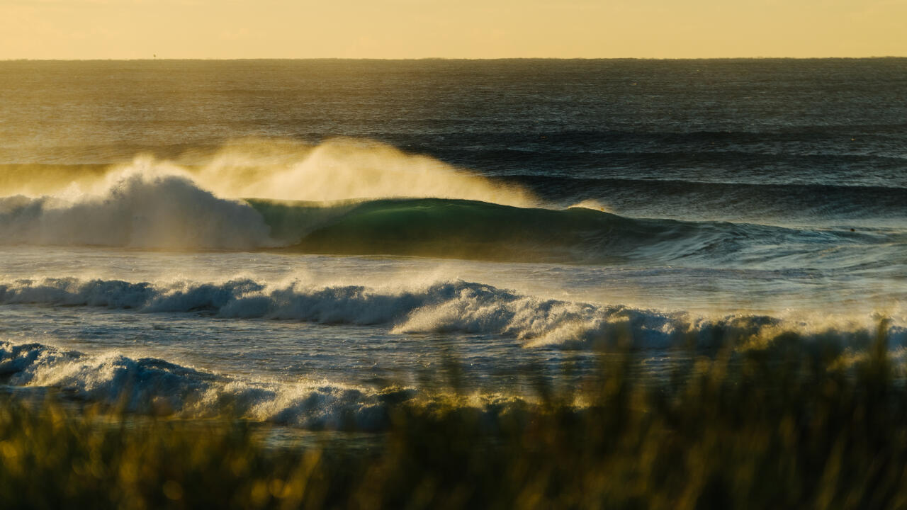 Forecast: Sydney Surf Pro | Form Guide | Swellnet