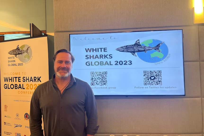 White Sharks Global Conference Convenes At Port Lincoln | Swellnet ...