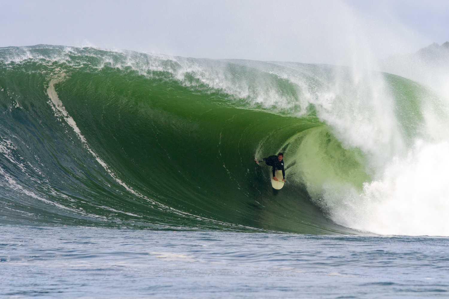 Gallery: Up Close and Personal | Swellnet Dispatch | Swellnet