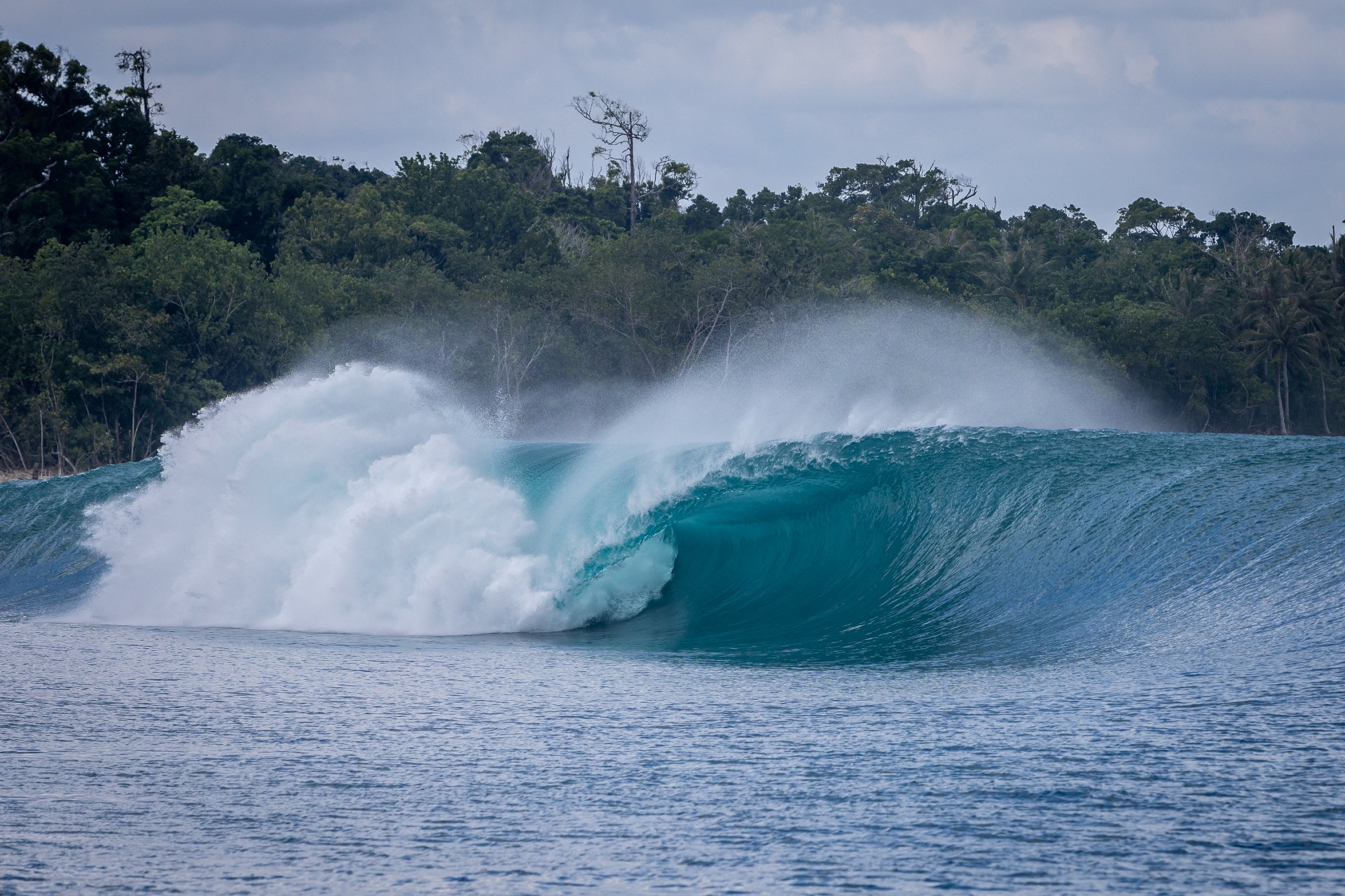 Photos: A Day At The 'Bush | Features | Swellnet