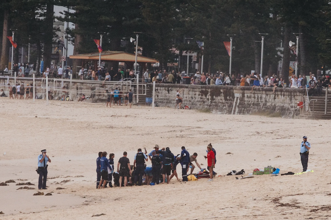 Surfer Attacked By Shark At Manly | Swellnet Dispatch | Swellnet