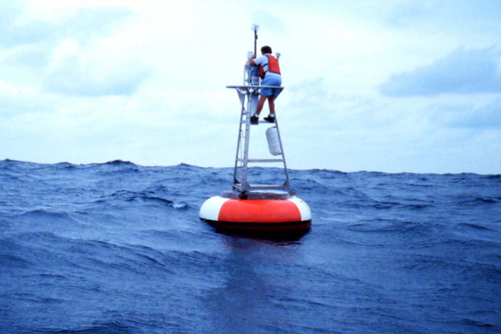 Buoys Follow One Direction | Swellnet Analysis | Swellnet