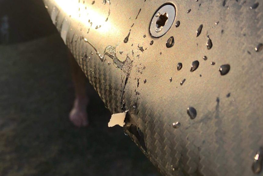 Shark leaves chilling souvenir in Tweed Coast surfer's board | Swellnet ...
