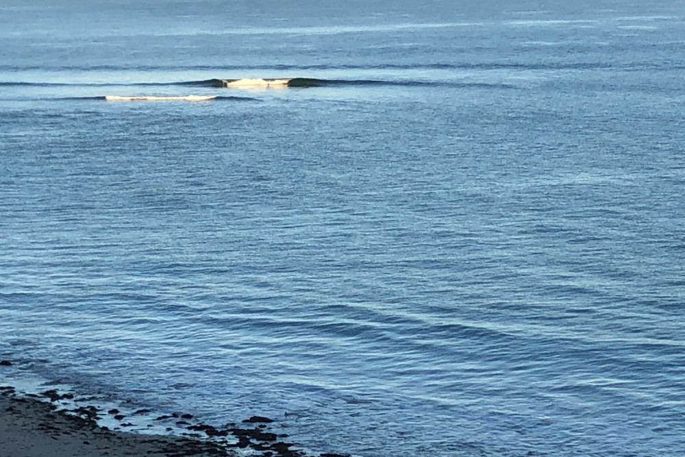 Mid Coast Detailed Surf Report, Surf Photos, Live Winds, Tides and ...