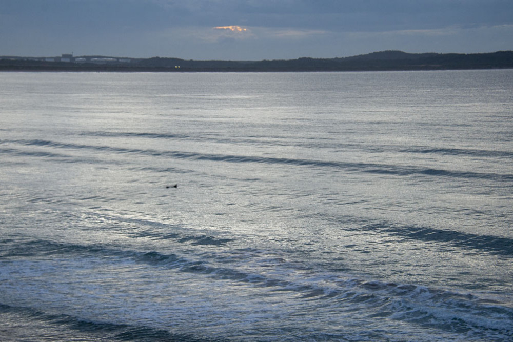 Cronulla Detailed Surf Report, Surf Photos, Live Winds, Tides and ...