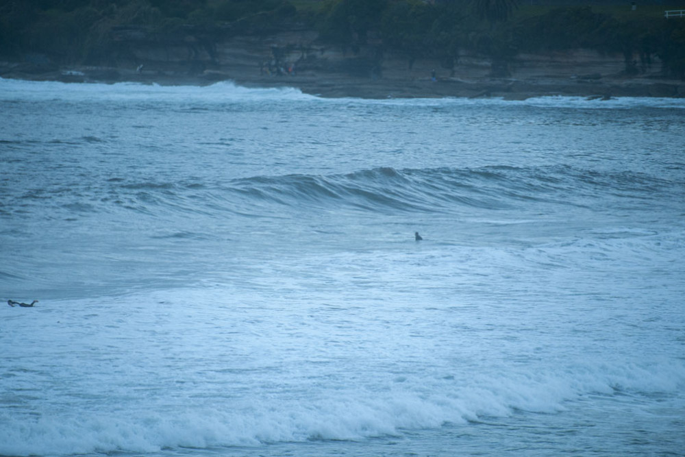 Cronulla Detailed Surf Report, Surf Photos, Live Winds, Tides and ...