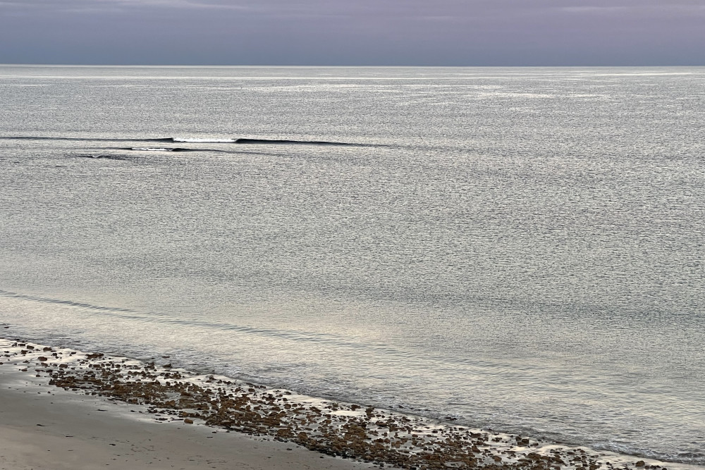 Mid Coast Detailed Surf Report, Surf Photos, Live Winds, Tides and ...