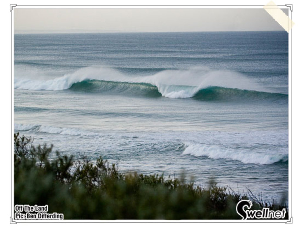 Off The Land | Surf Photos by Ben Differding | Swellnet Sessions | Swellnet