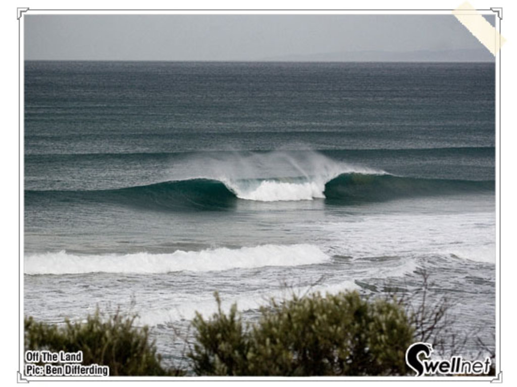 Off The Land | Surf Photos by Ben Differding | Swellnet Sessions | Swellnet