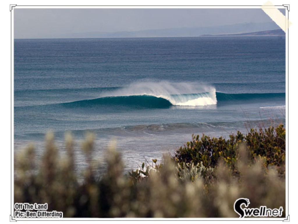 Off The Land | Surf Photos by Ben Differding | Swellnet Sessions | Swellnet