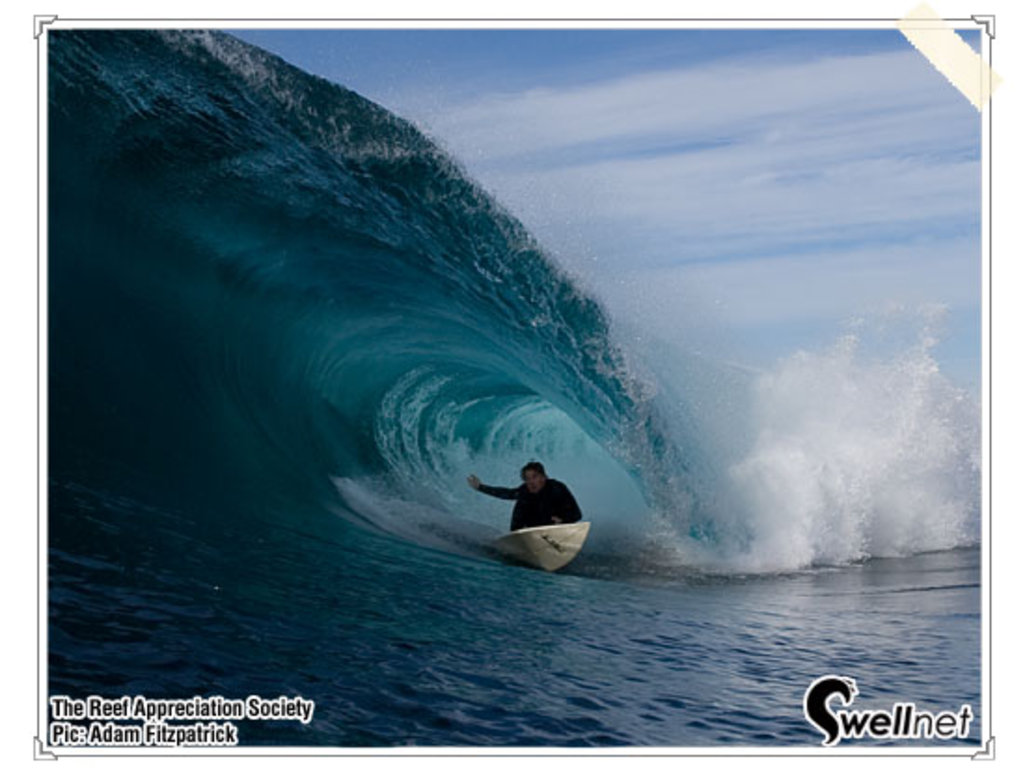 The Reef Appreciation Society | Surf Photos by Adam Fitzpatrick ...