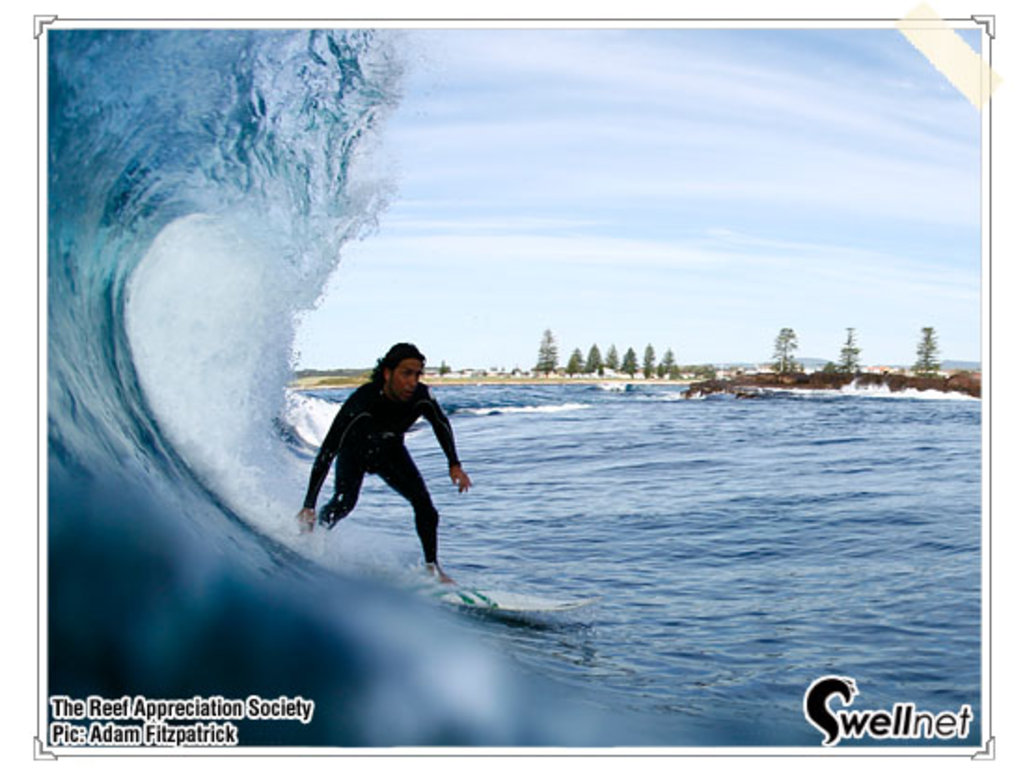 The Reef Appreciation Society | Surf Photos by Adam Fitzpatrick ...