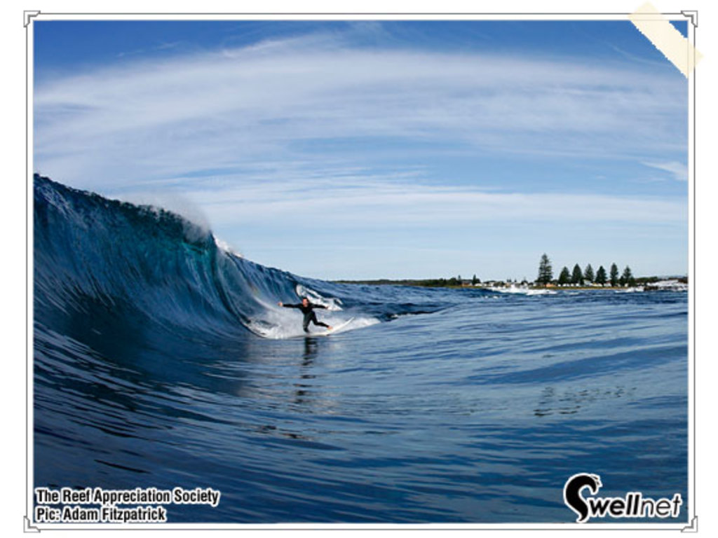 The Reef Appreciation Society | Surf Photos by Adam Fitzpatrick ...