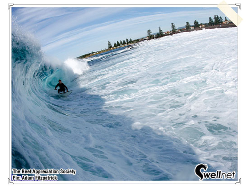 The Reef Appreciation Society | Surf Photos by Adam Fitzpatrick ...