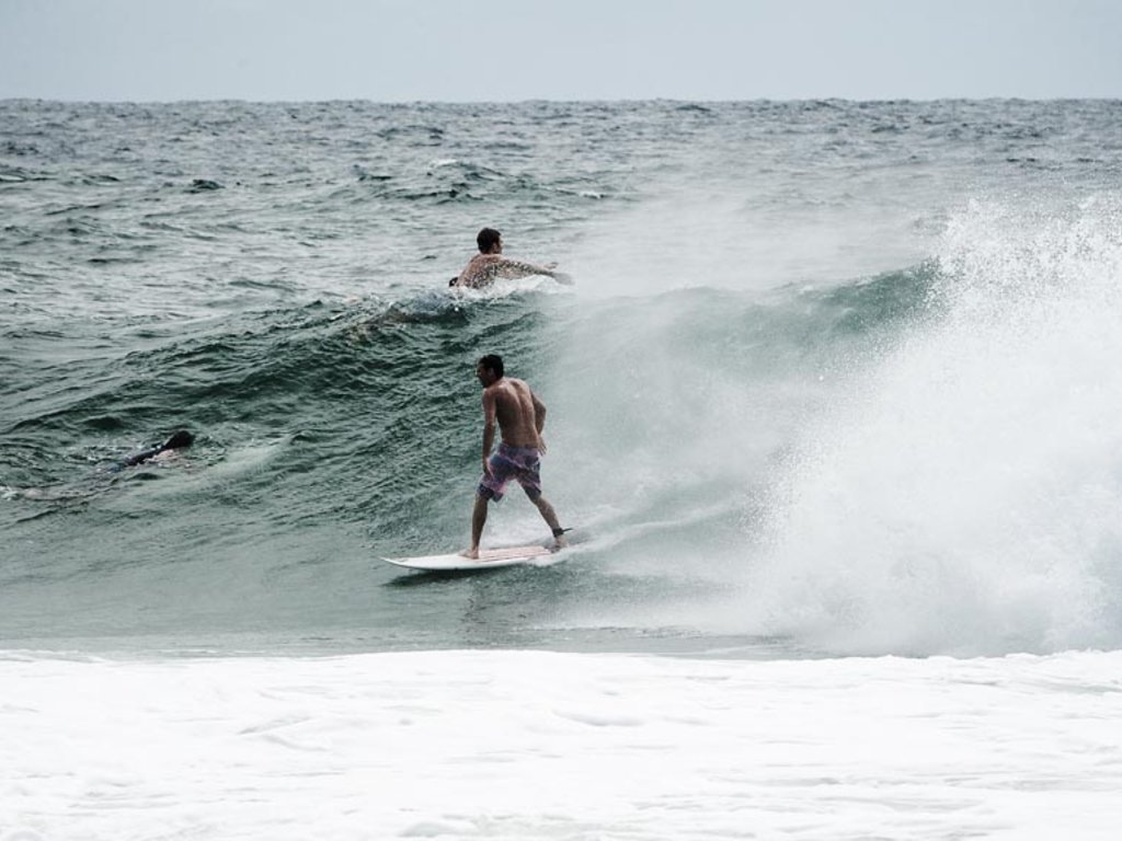Which Harrington? | Surf Photos by Adam Weathered | Swellnet Sessions ...