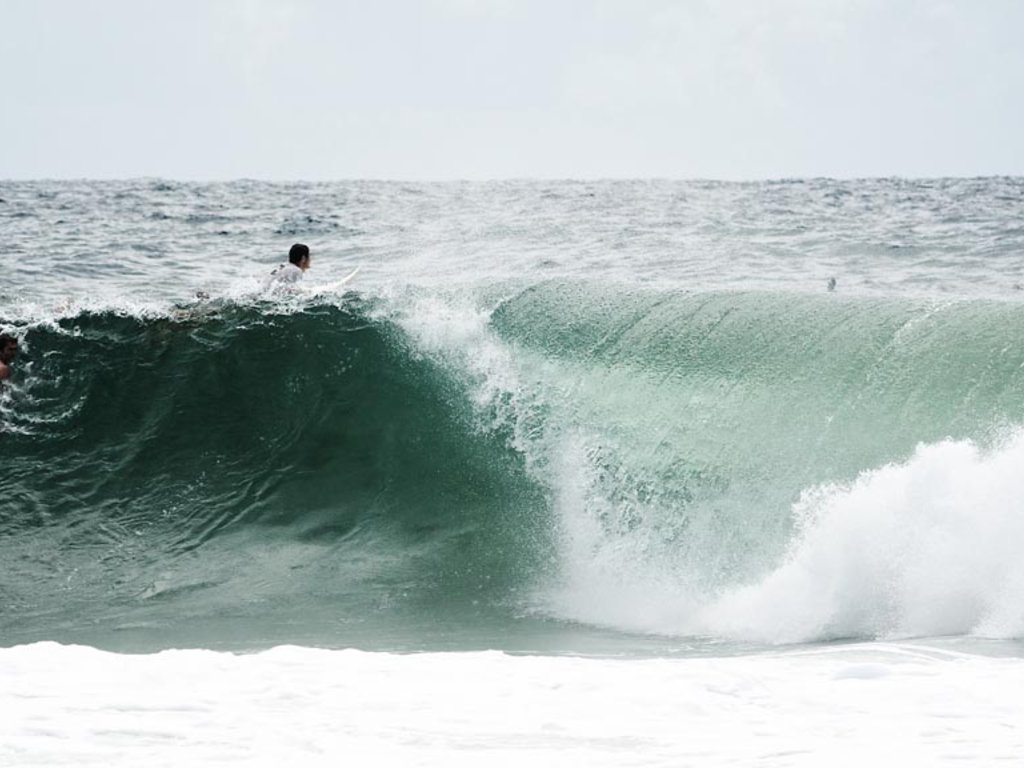 Which Harrington? | Surf Photos by Adam Weathered | Swellnet Sessions ...