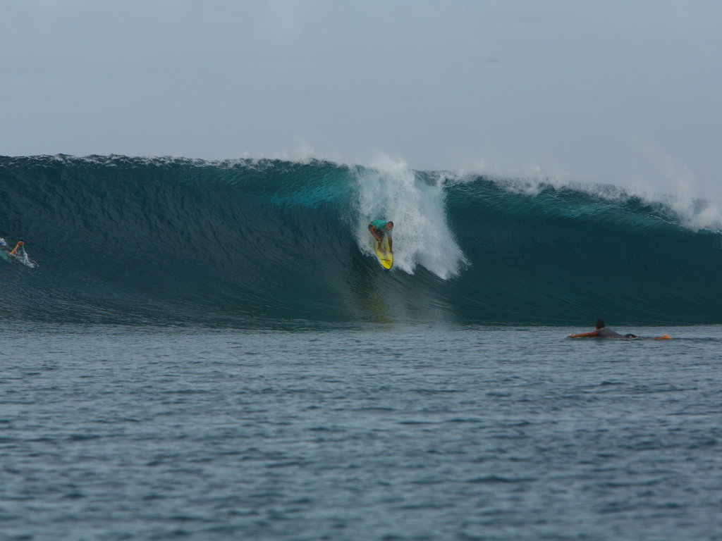 Riding Kong's Donkey | Surf Photos by Allois Malfatani | Swellnet ...