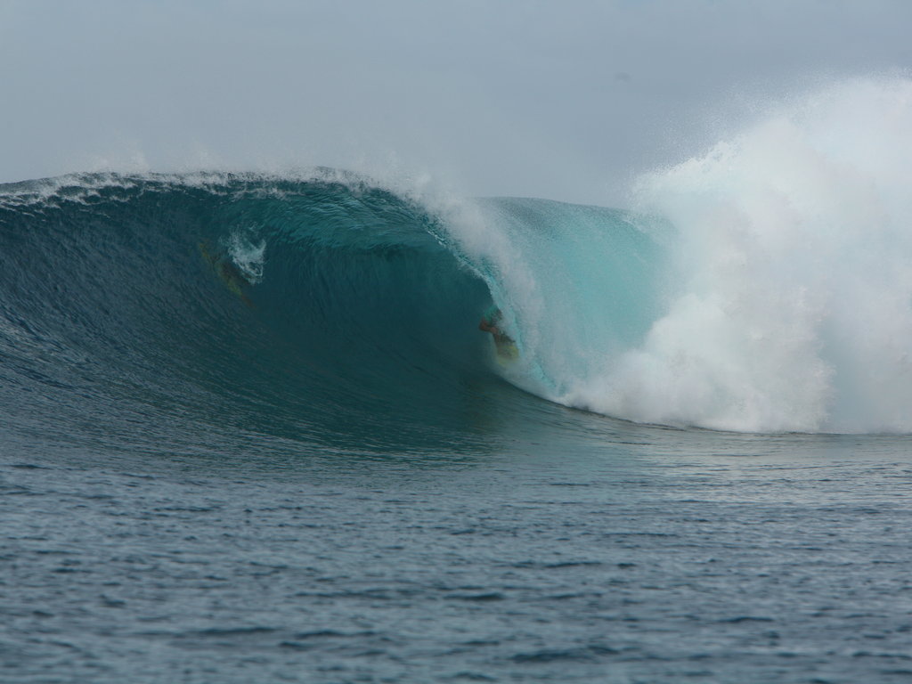 Riding Kong's Donkey | Surf Photos by Allois Malfatani | Swellnet ...