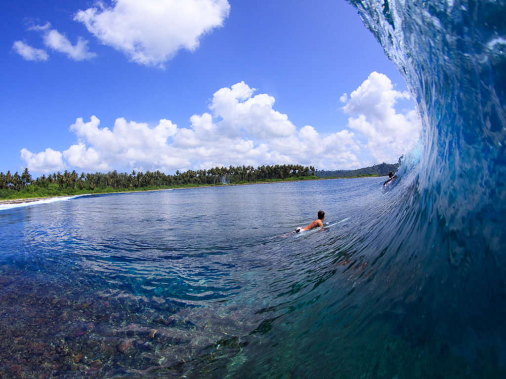 Northern Aura | Surf Photos by Jordan Godley | Swellnet Sessions | Swellnet