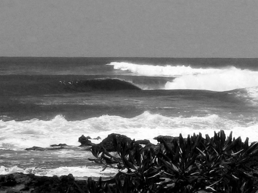 Northern Aura | Surf Photos by Jordan Godley | Swellnet Sessions | Swellnet