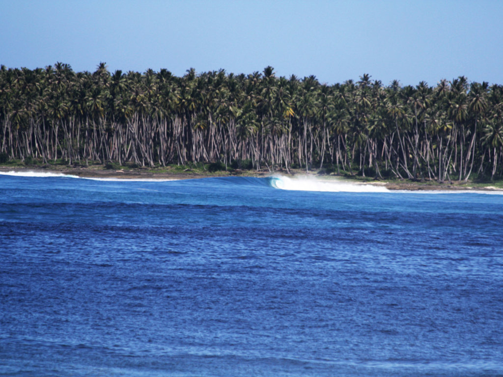 Northern Aura | Surf Photos by Jordan Godley | Swellnet Sessions | Swellnet