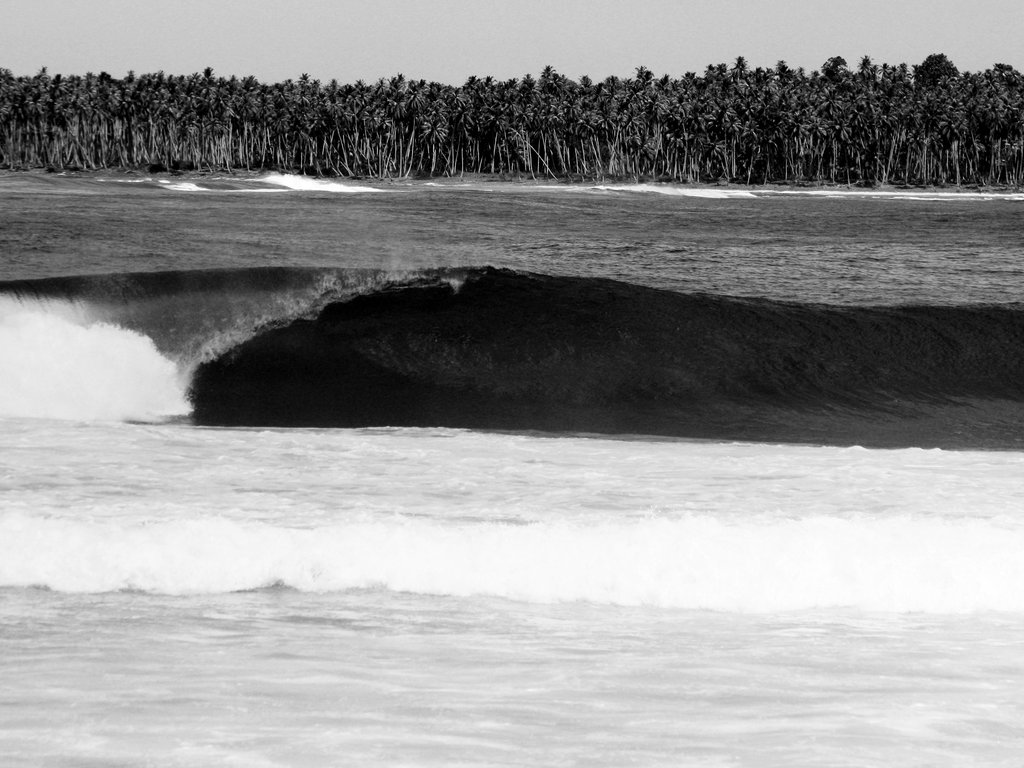 Northern Aura | Surf Photos by Jordan Godley | Swellnet Sessions | Swellnet