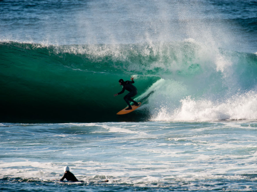 Ox vs. Shark | Surf Photos by Darryl Menzies | Swellnet Sessions | Swellnet