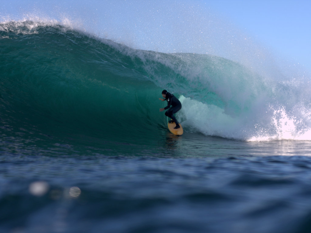Ox vs. Shark: The Reverse Angle | Surf Photos by Sam Venn | Swellnet ...
