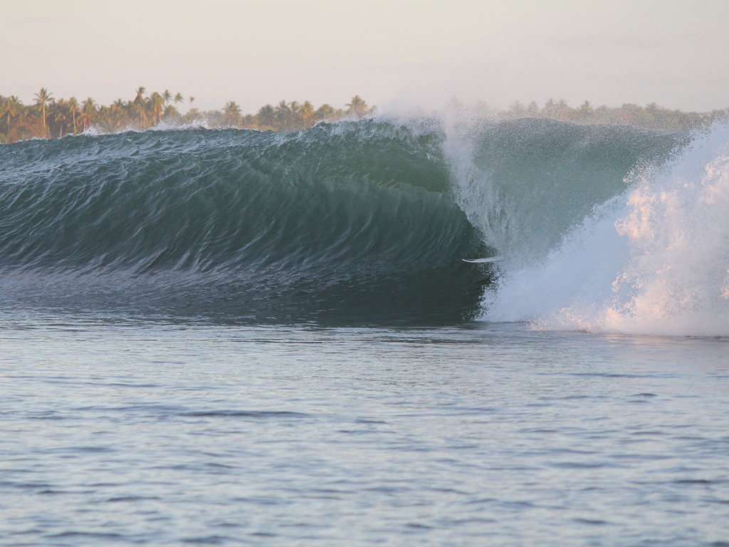 Warm Regards | Surf Photos by Andrew Rigby | Swellnet Sessions | Swellnet