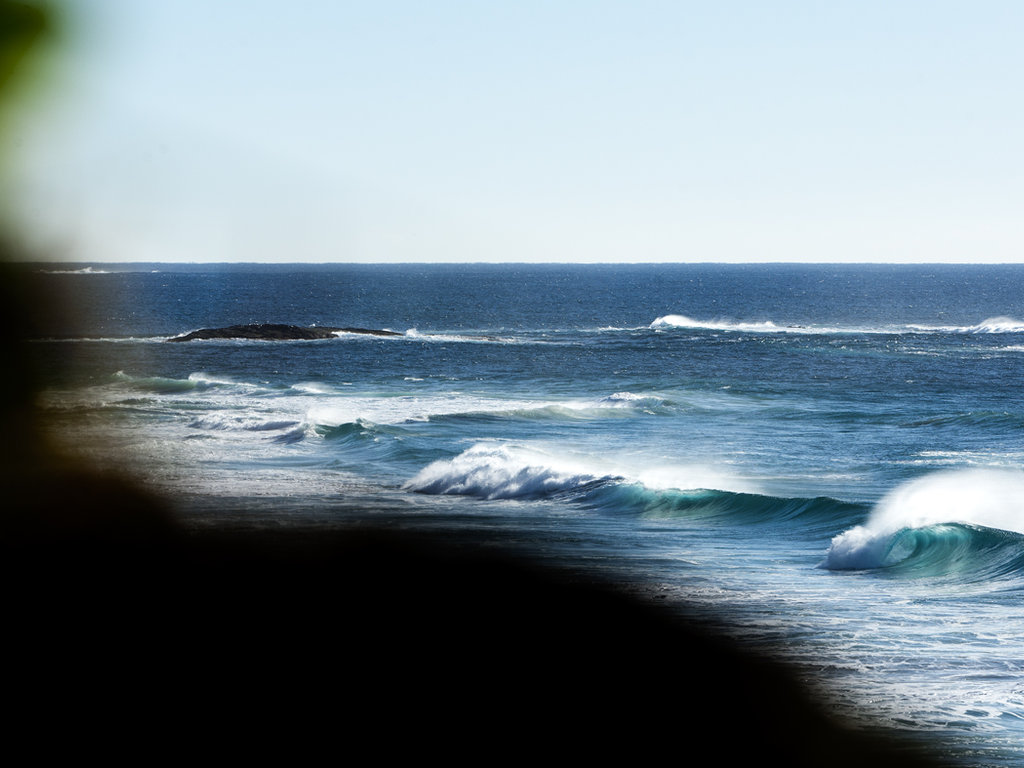 Mild and Free | Surf Photos by Hamish Laing | Swellnet Sessions | Swellnet