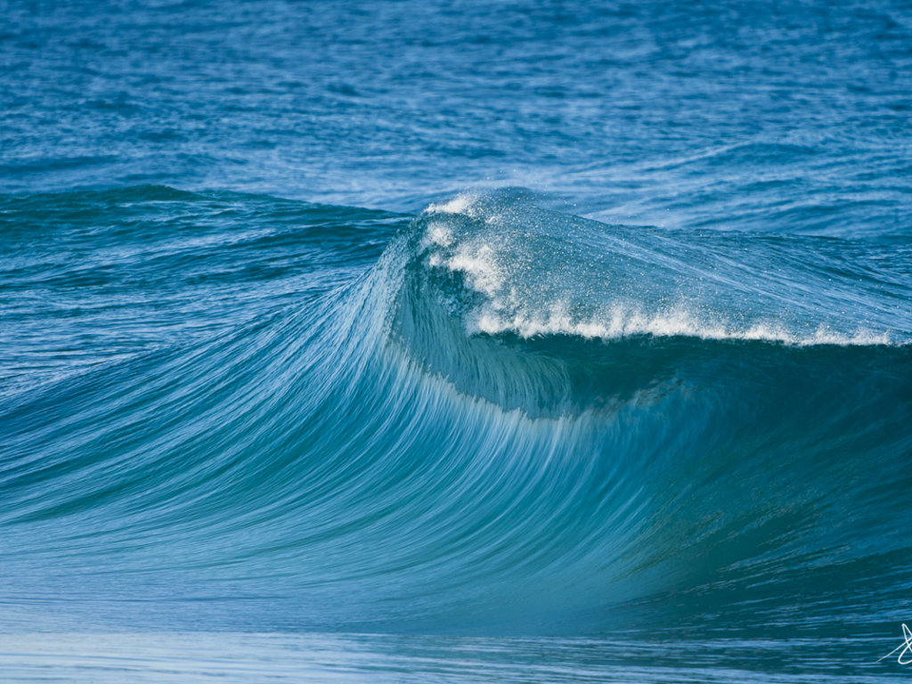 Alex Ormerod | Surf Photos by Alex Ormerod | Swellnet Sessions | Swellnet