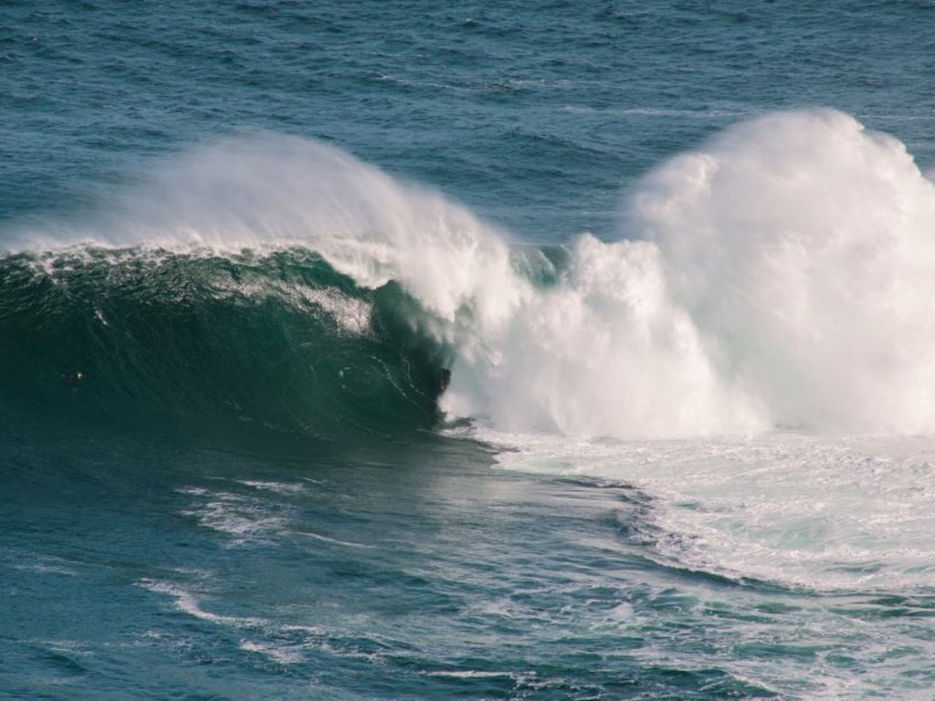 Bush Week | Surf Photos by Dave Otto | Swellnet Sessions | Swellnet