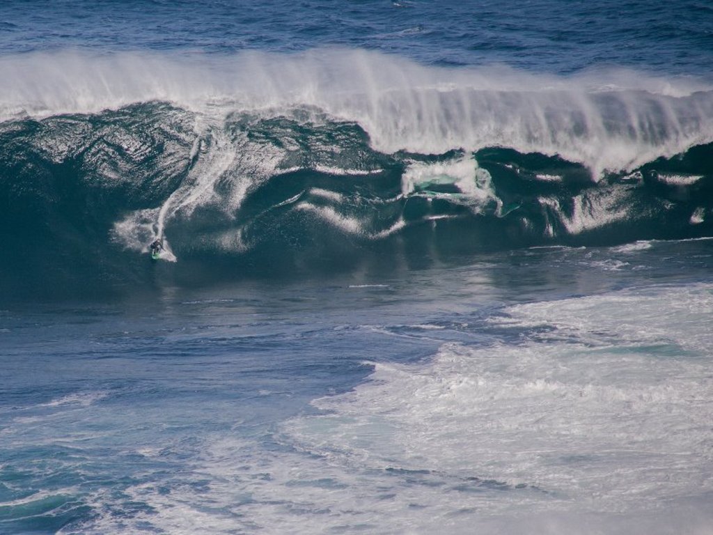 Bush Week | Surf Photos by Dave Otto | Swellnet Sessions | Swellnet